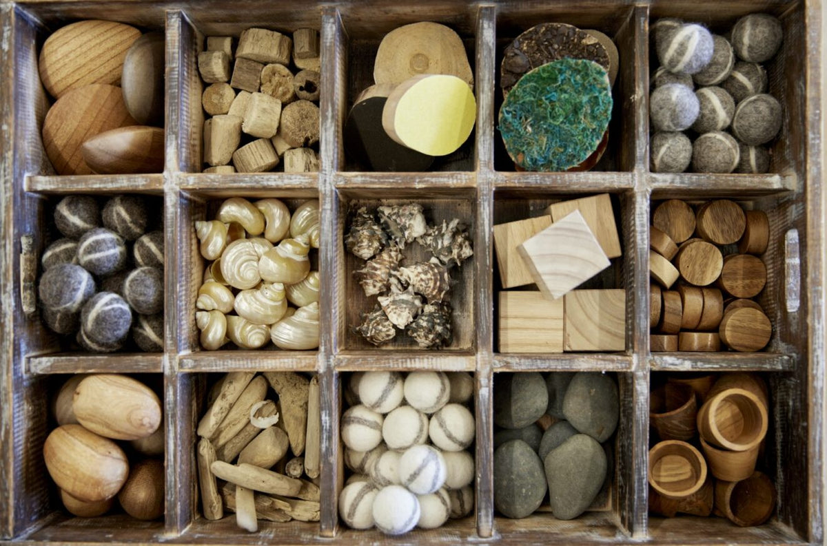 Natural Discovery Sorting Set — Curiate NZ