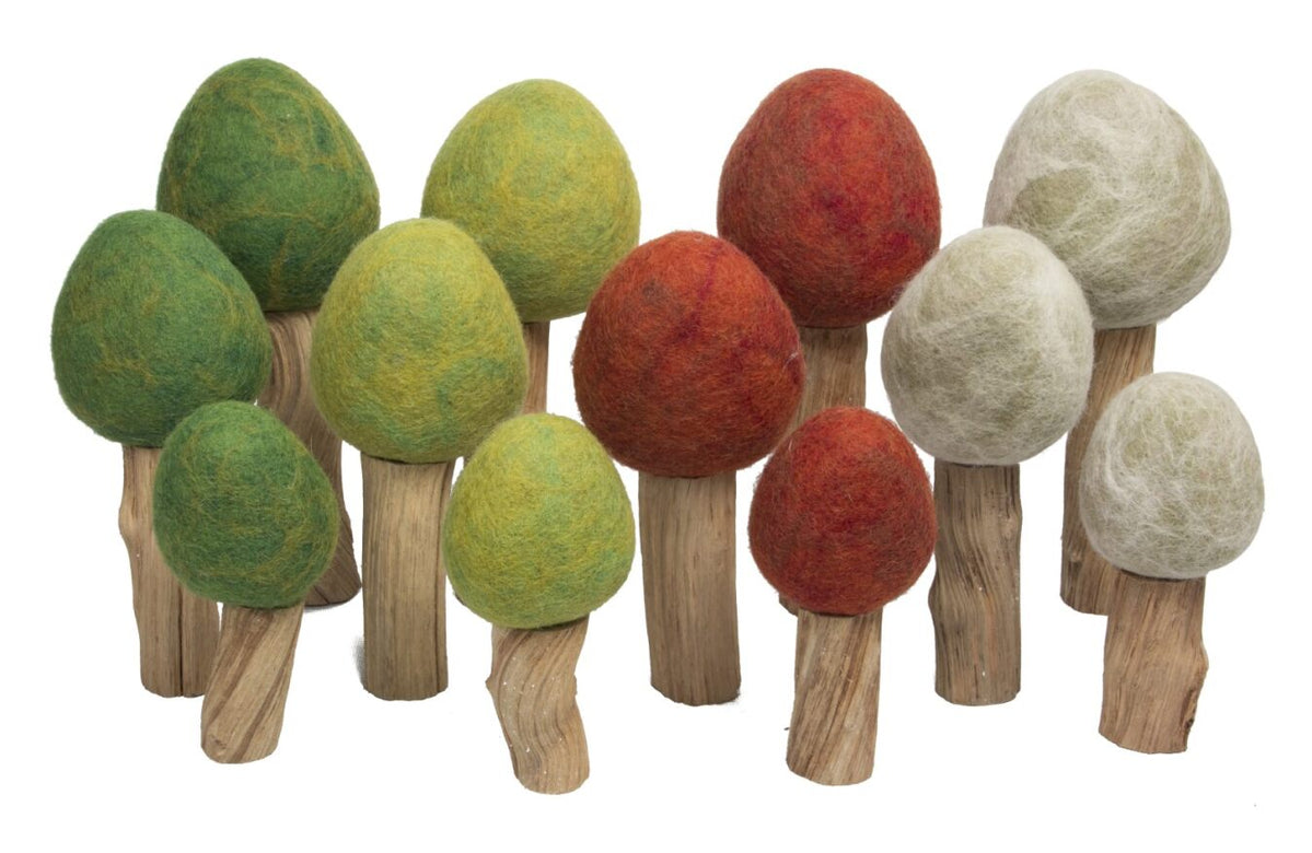 4 Seasons of Trees — Curiate NZ