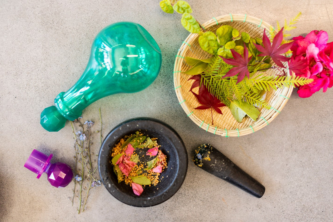 Inspiring Creative Play | Curiate — Curiate NZ