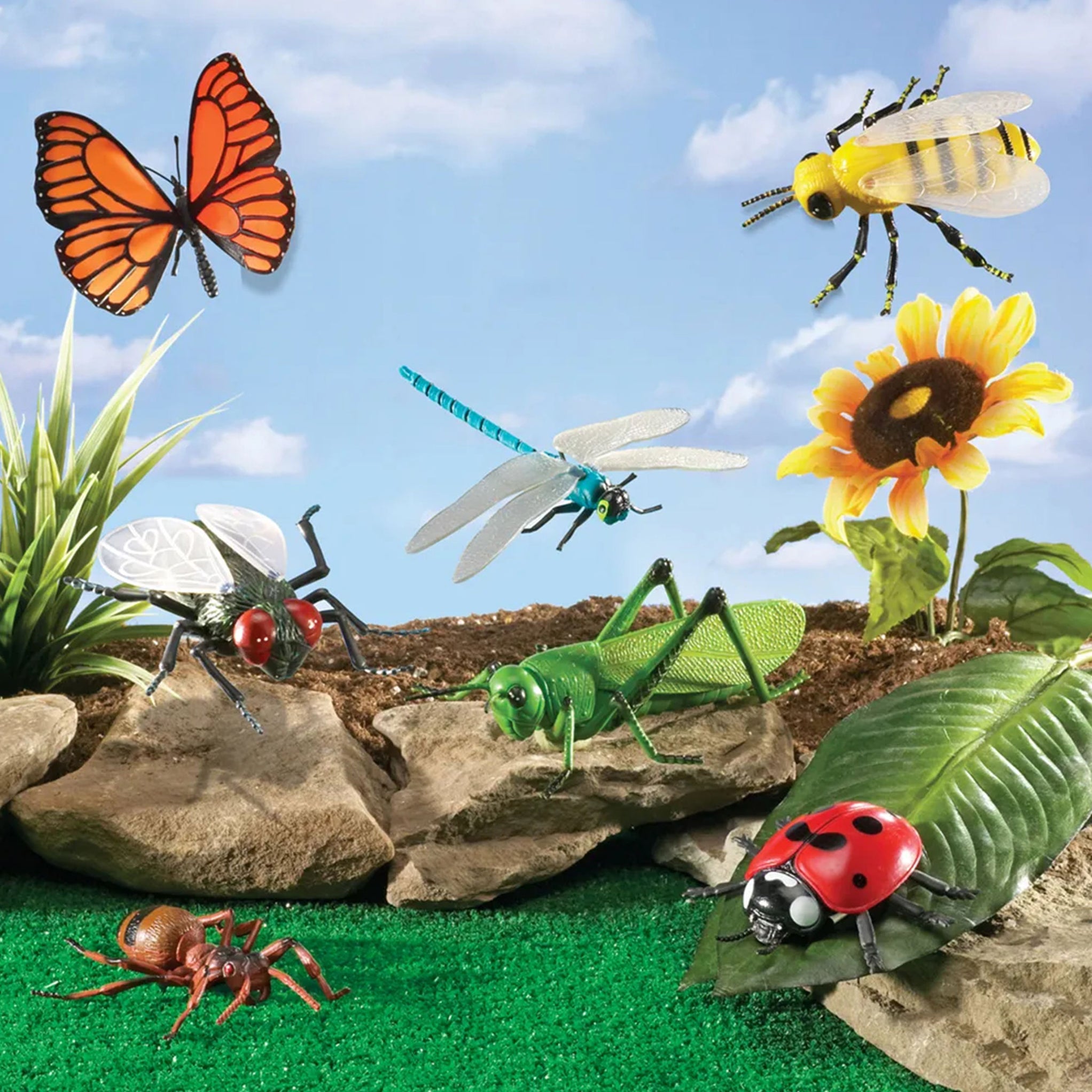 Jumbo Insects — Curiate NZ