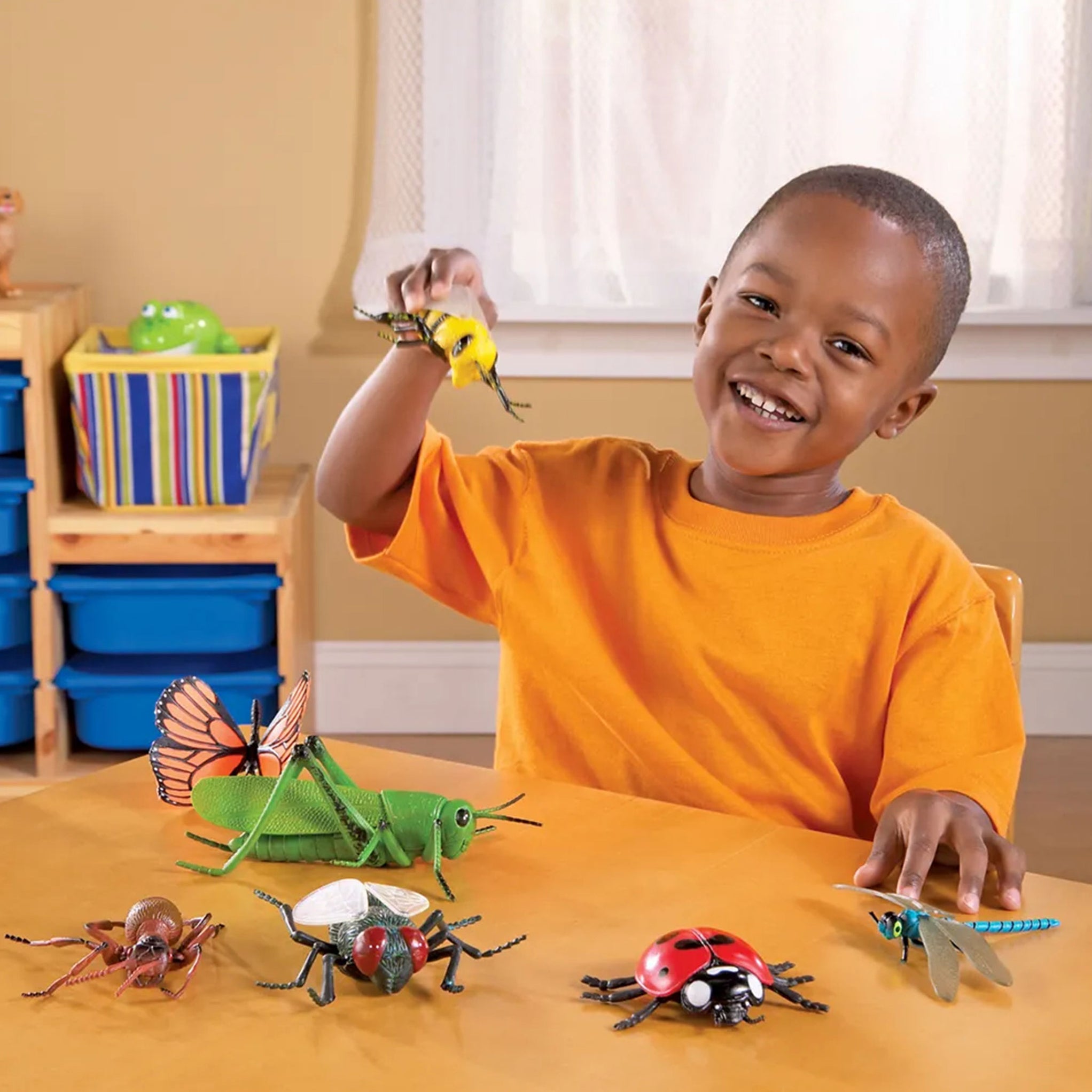 Jumbo Insects — Curiate NZ