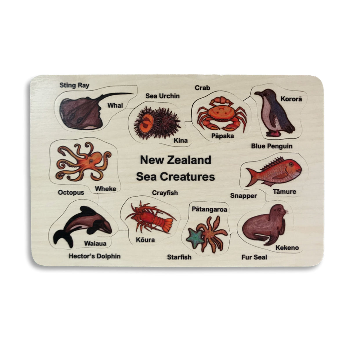 New Zealand Native Sea Creatures Puzzle — Curiate NZ