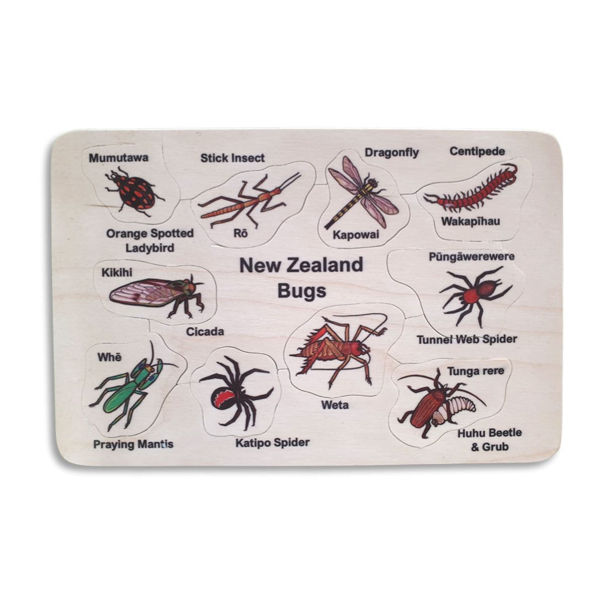 New Zealand Native Bugs Puzzle — Curiate NZ