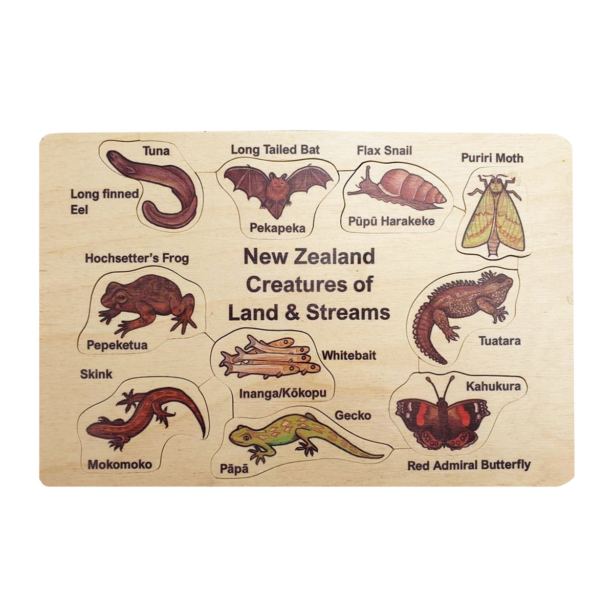 New Zealand Native Creatures of Land & Streams — Curiate NZ