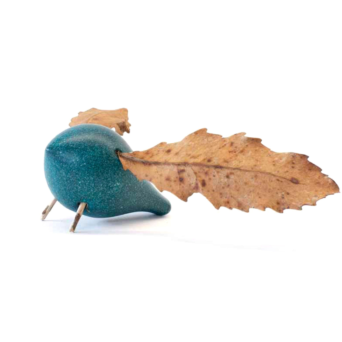 Locomo - Becky Bird — Curiate NZ