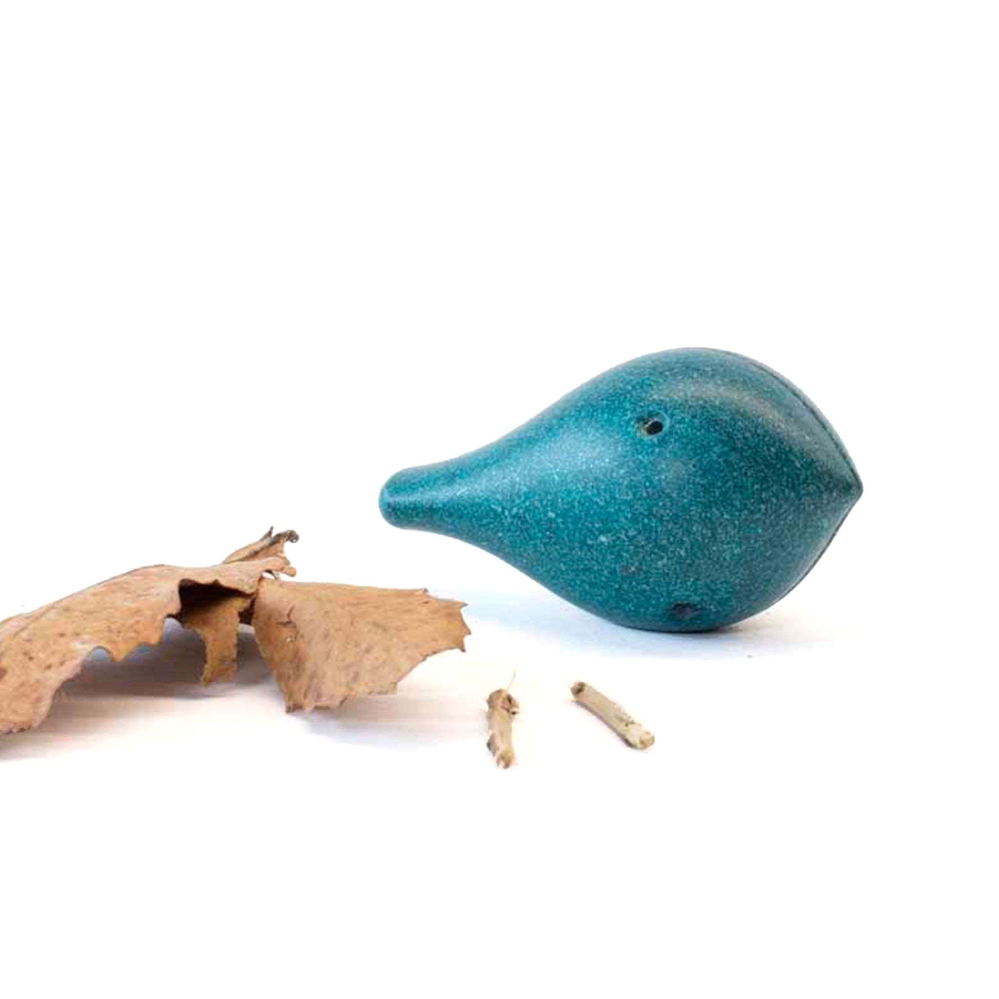 Locomo - Becky Bird — Curiate NZ